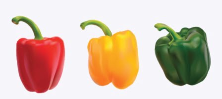 शिमला मिर्च की खेती| Shimla mirch (capsicum) ki kheti » ANAND LINK