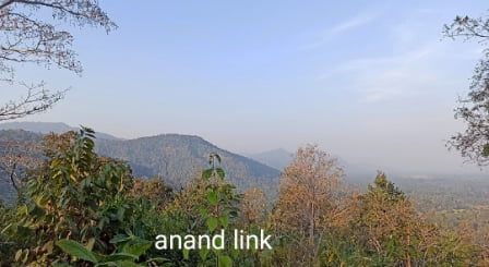 Latehar Distric | लातेहार जिला » ANAND LINK