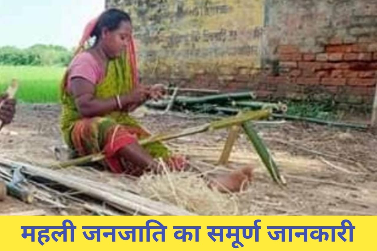 महली जनजाति का सामान्य जानकारी | General information about Mahali tribe ...